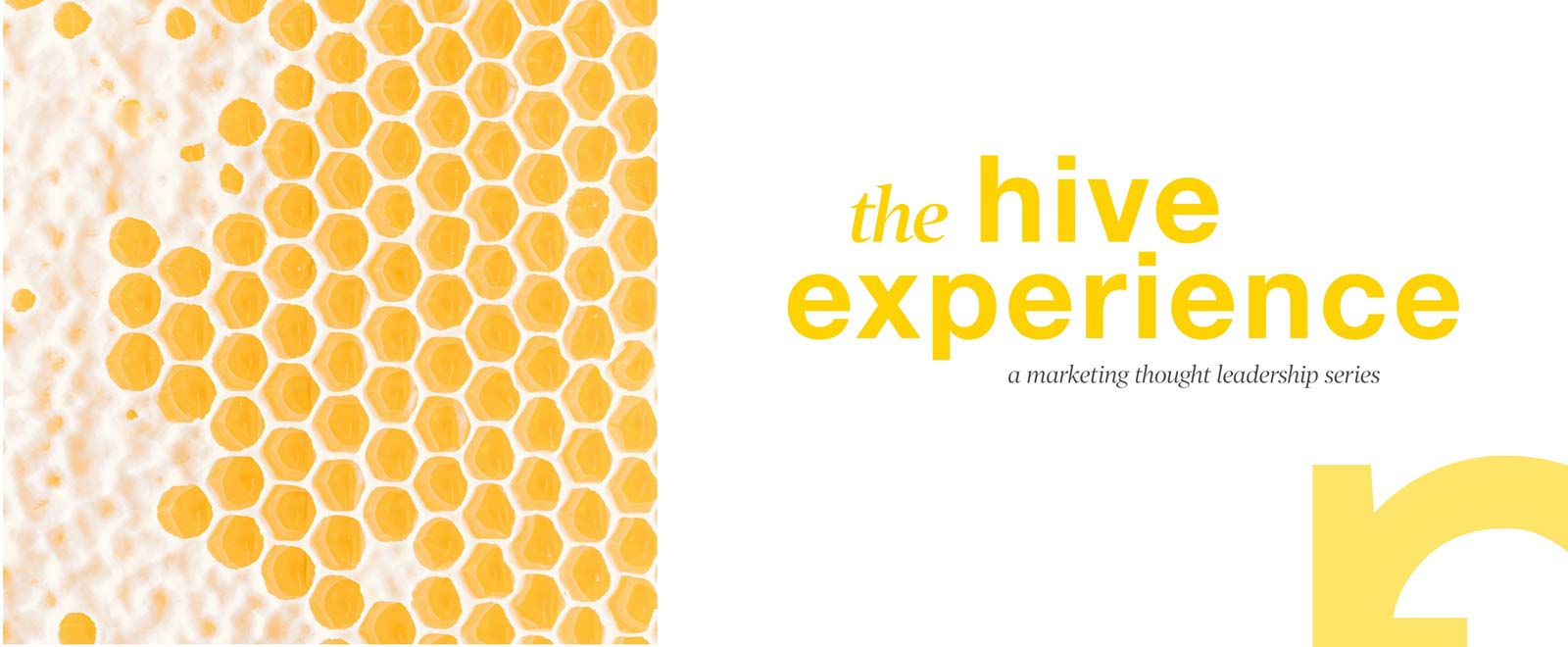 REGROUP – The Hive